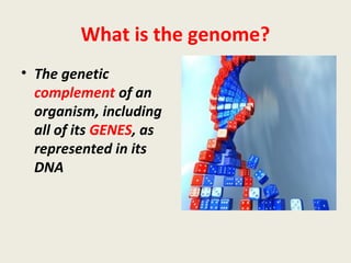 Recombinant DNA | PPT | Biotech and Biomedical Industry | Industries