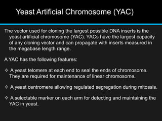 Recombinant dna | PPT