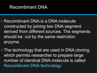 Recombinant dna | PPT