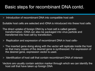 Recombinant dna | PPT