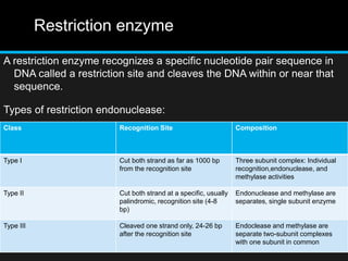 Recombinant dna | PPT