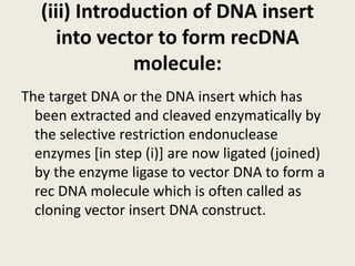 Recombinant DNA.1.ppt