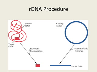 Recombinant DNA.1.ppt