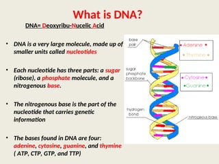 Recombinant DNA, for grade 12 or grade 11.ppt