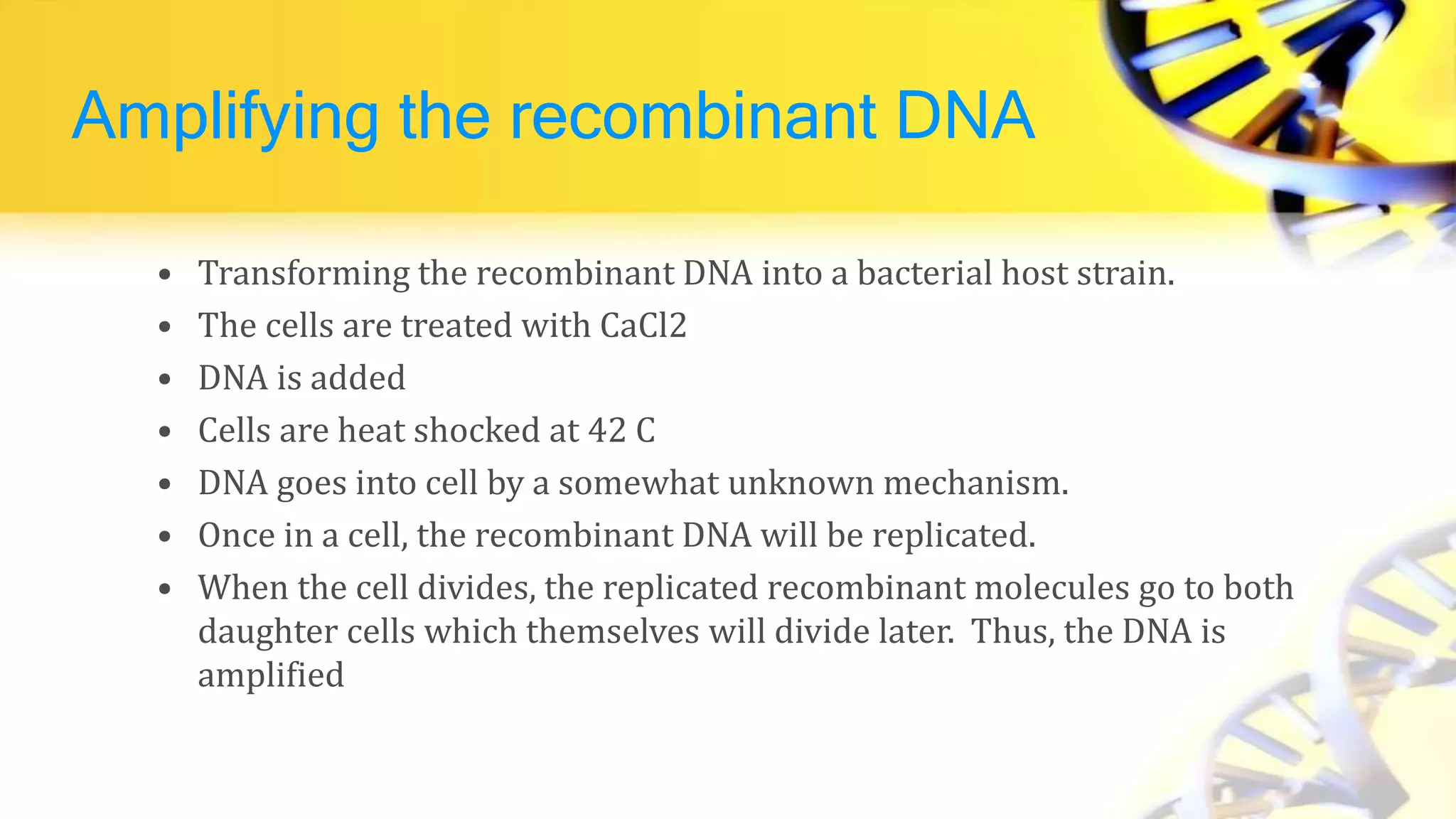 Recombinant DNA-PPT.pptx