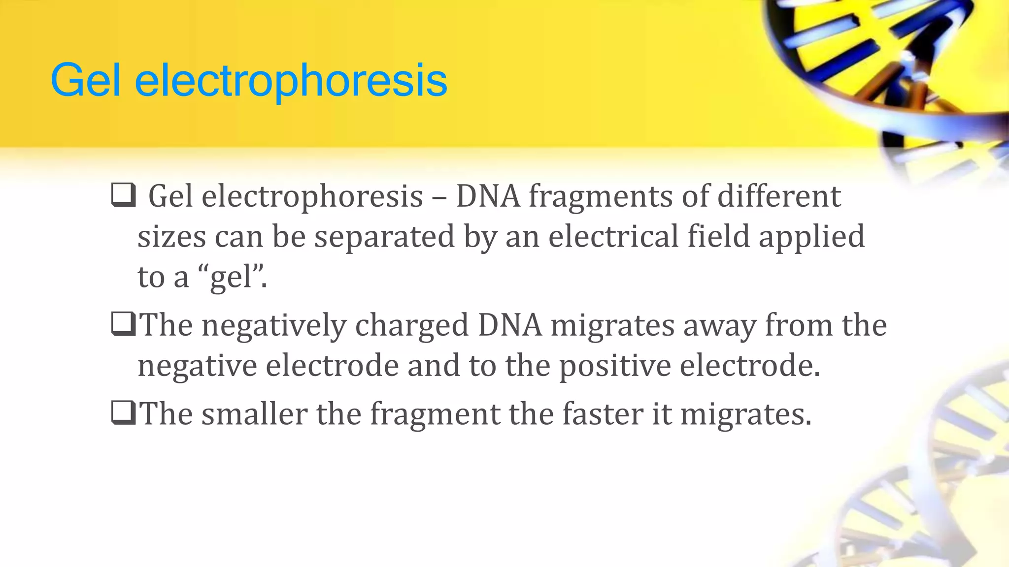 Recombinant DNA-PPT.pptx