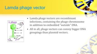 Recombinant DNA-PPT.pptx