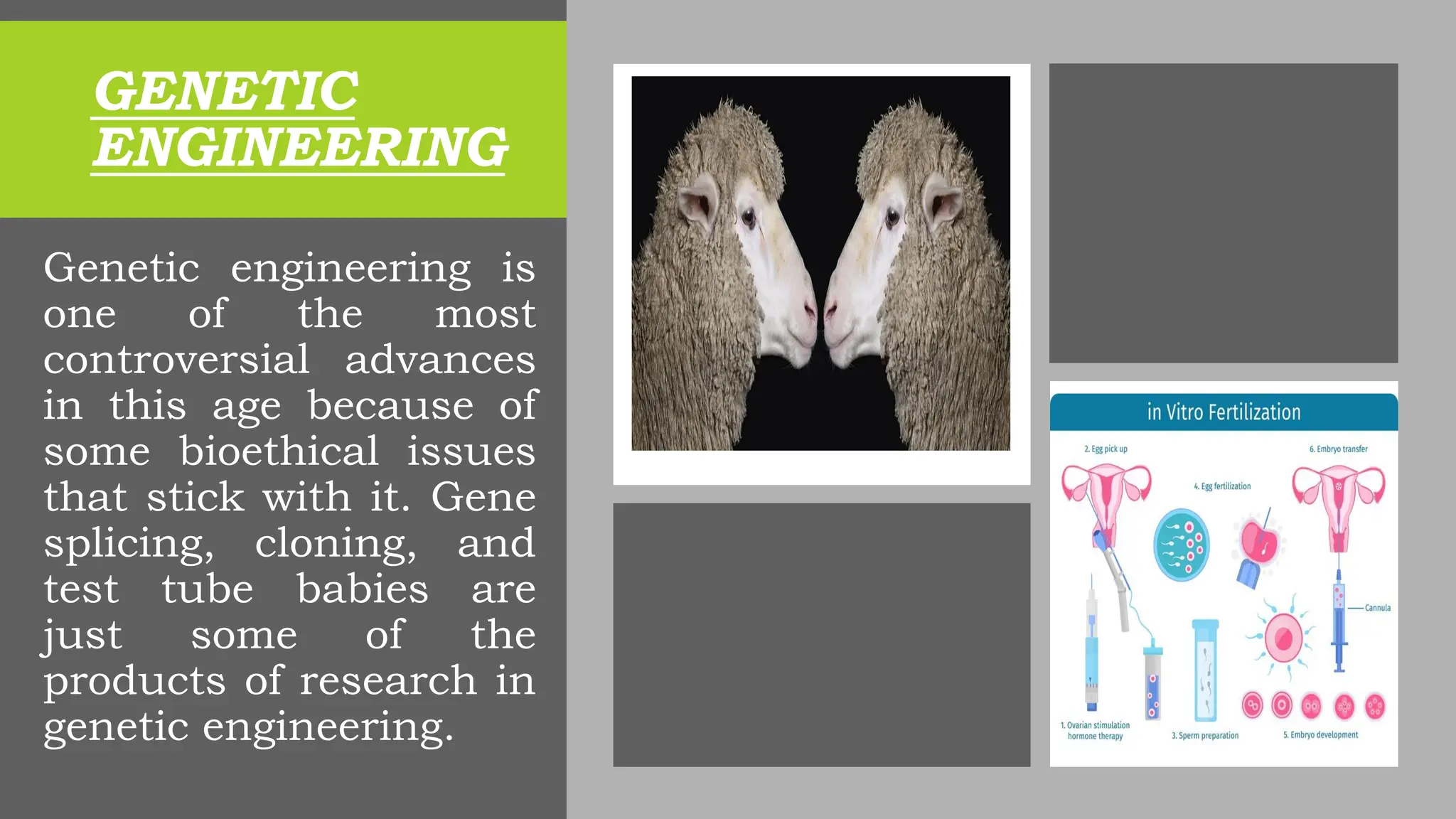 Recombinant DNA and Genetic Engineering.pdf. | PDF