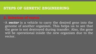 Recombinant DNA and Genetic Engineering.pdf. | PPT