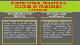 Recombinant DNA and Genetic Engineering.pdf. | PPT