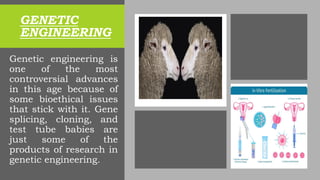 Recombinant DNA and Genetic Engineering.pdf. | PPT