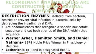 Recombinant DNA or rDNA | PPTX