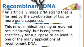 Recombinant DNA or rDNA | PPTX