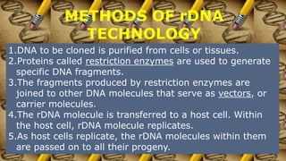Recombinant DNA or rDNA | PPTX | Biotech and Biomedical Industry ...