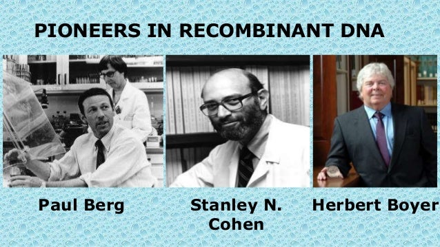 Recombinant DNA or rDNA