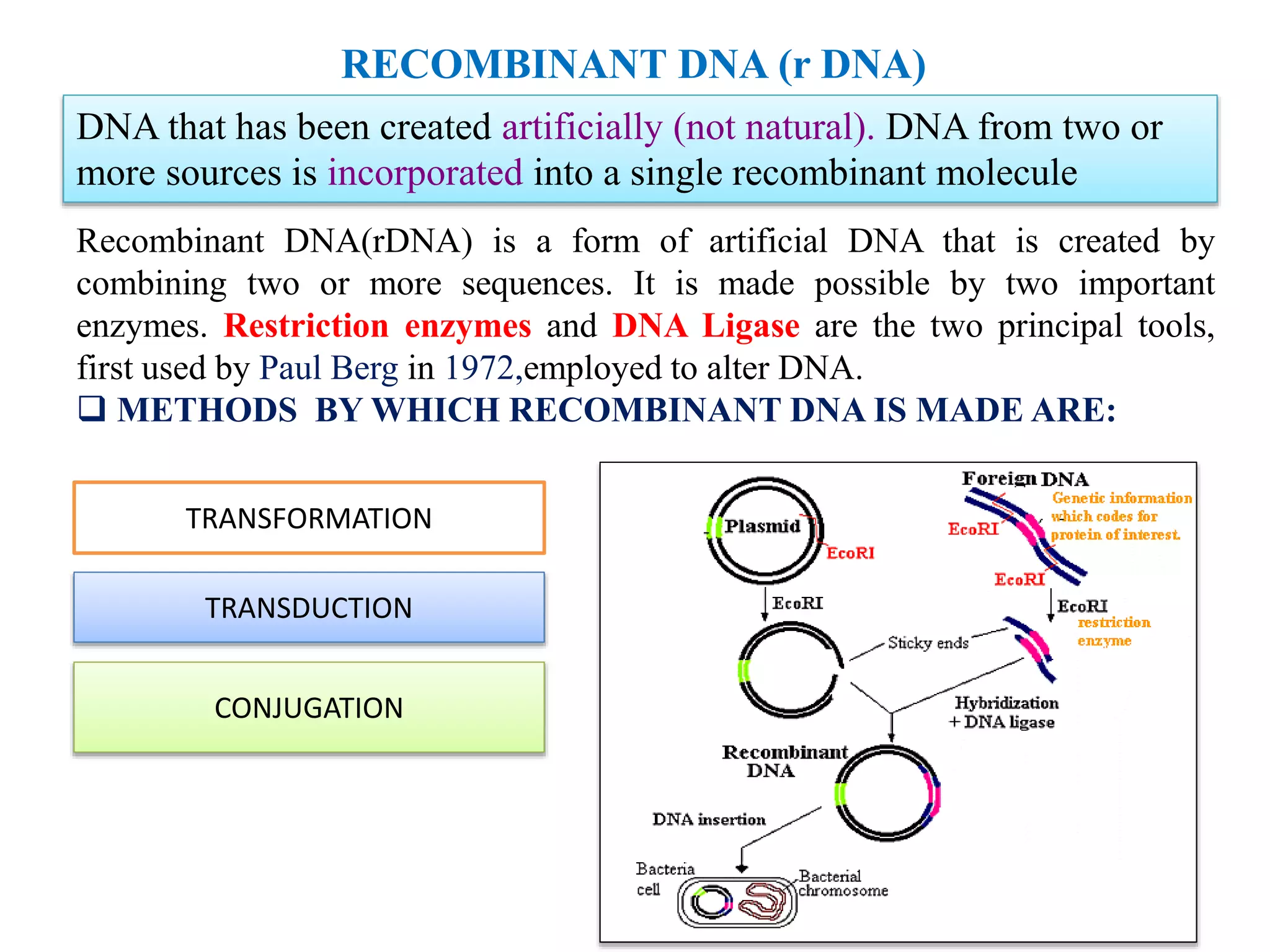 Recombinant DNA (r-DNA) technology | PPTX