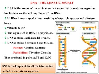 Recombinant DNA (r-DNA) technology | PPTX
