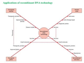 Recombinant DNA (r-DNA) technology | PPTX