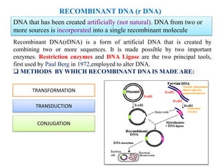 Recombinant DNA (r-DNA) technology | PPTX