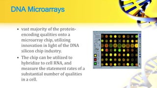 Recombinant dna technology | PPTX