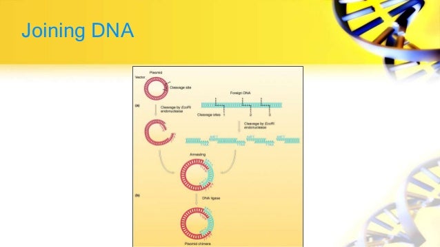 Recombinant dna technology