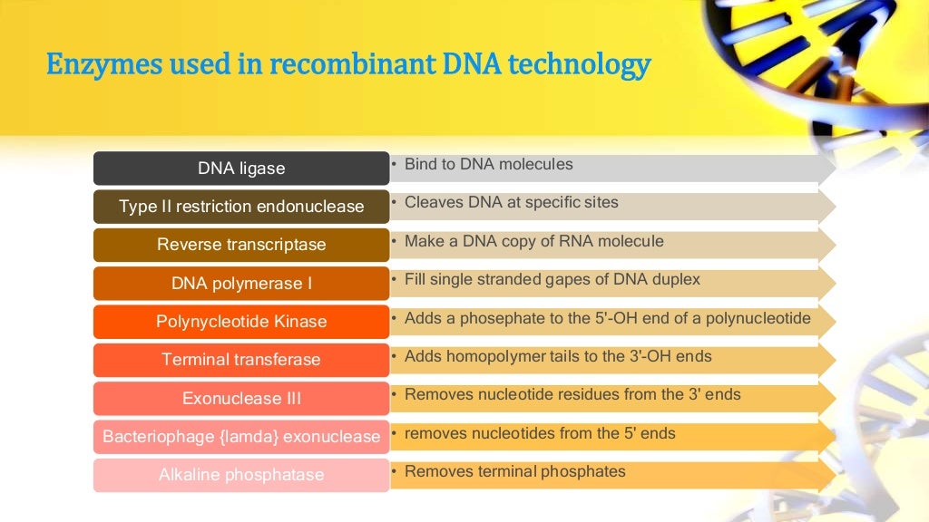 Recombinant dna technology