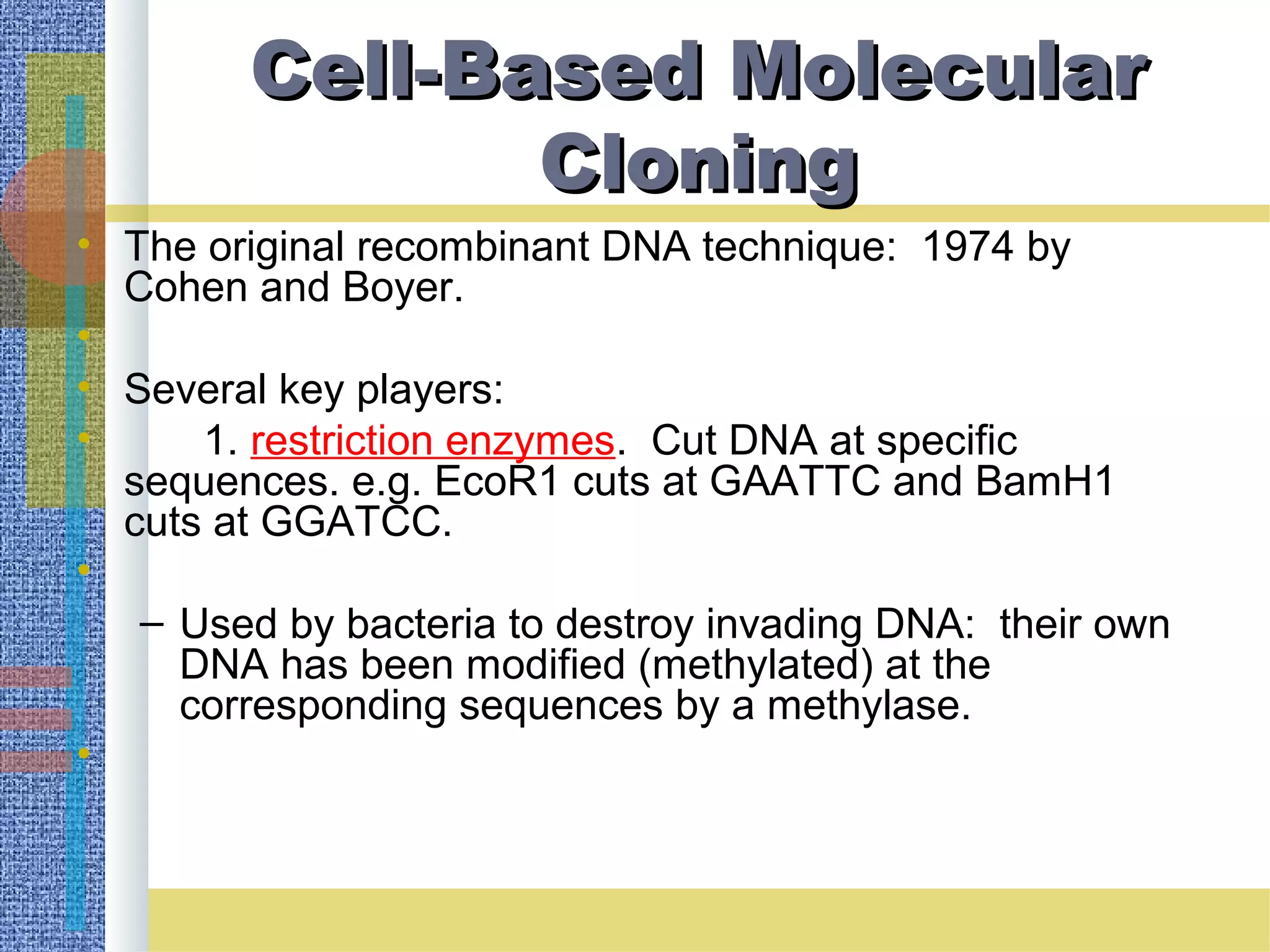 Recombinant dna technology | PPT