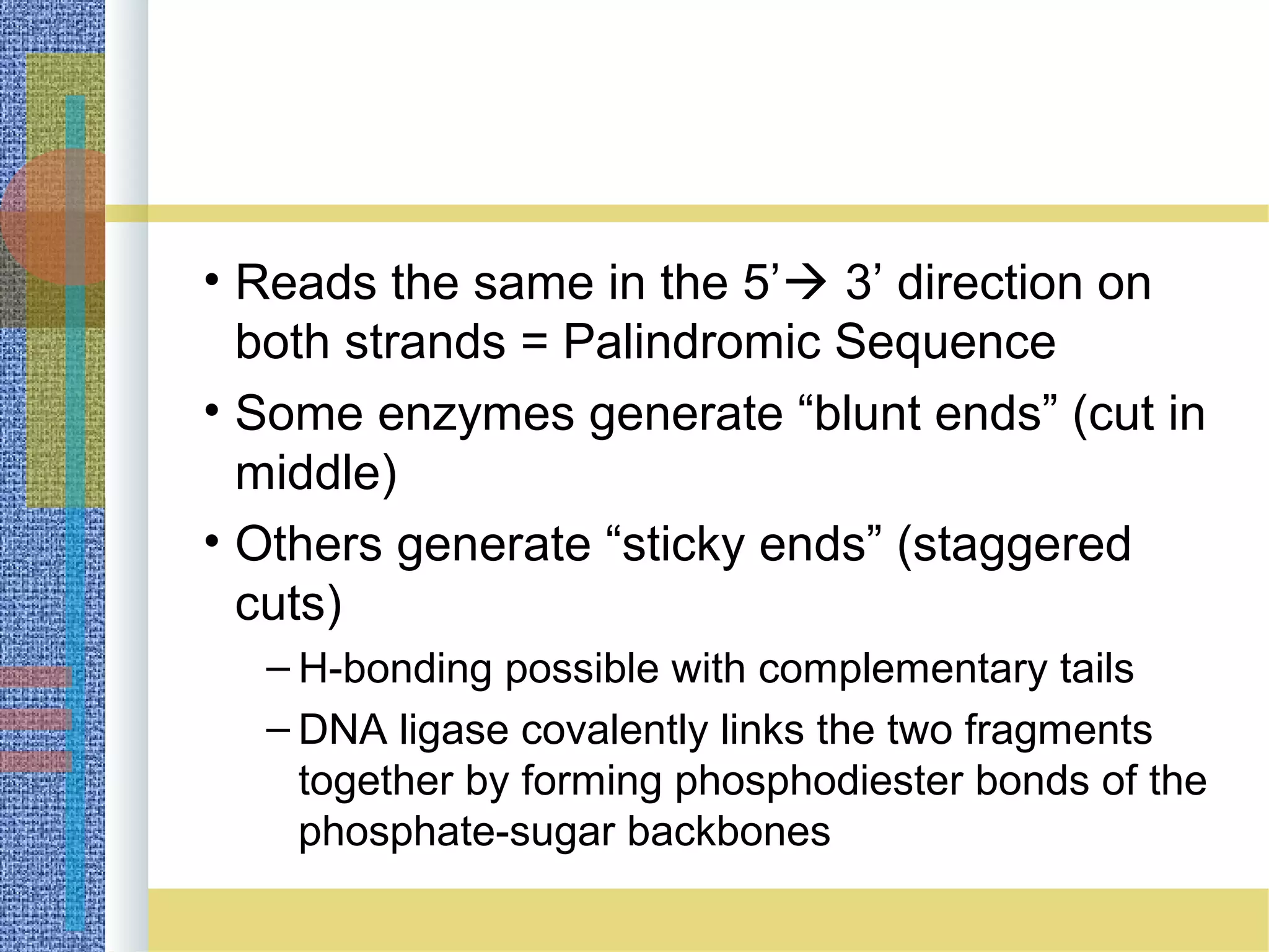 Recombinant dna technology | PPT