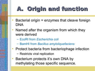 Recombinant dna technology | PPT