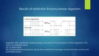 Recombinant DNA Technology (Introdcution) | PPT