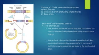 Recombinant DNA Technology (Introdcution) | PPT