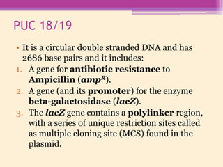 Recombinant DNA technology | PPTX