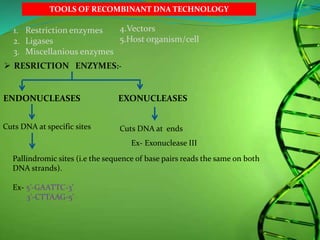 Recombinant dna technology | PPTX