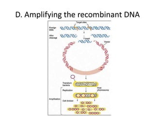 Recombinant DNA technology | PPTX