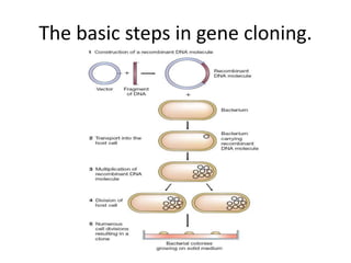 Recombinant DNA technology | PPTX