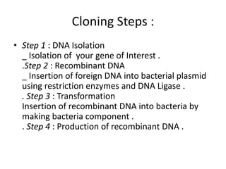 Recombinant DNA Technology | PPT