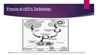 Recombinant dna technology | PPTX