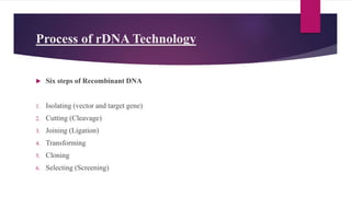Recombinant dna technology | PPTX