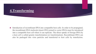 Recombinant dna technology | PPTX