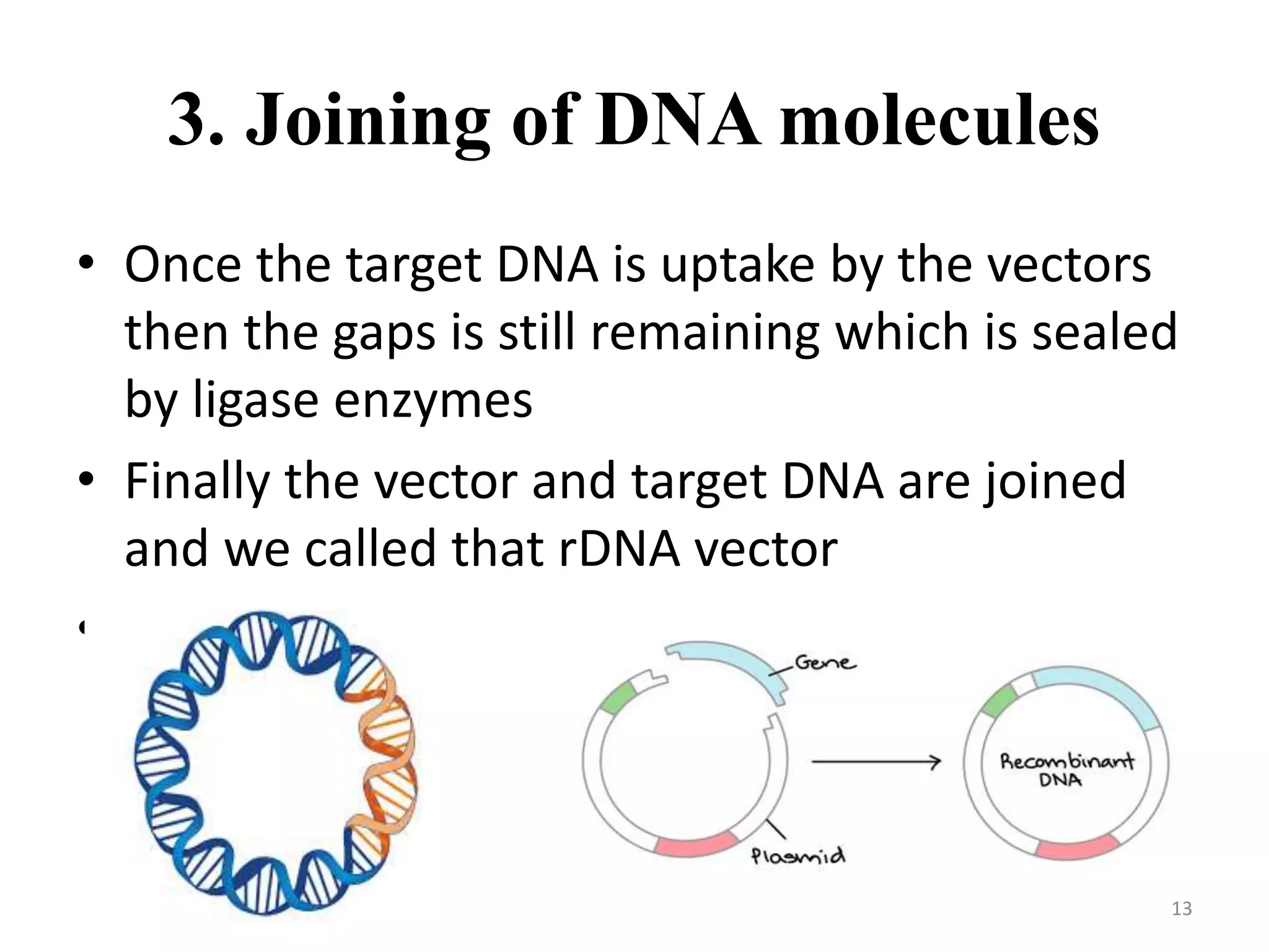 Recombinant dna technology | PPTX