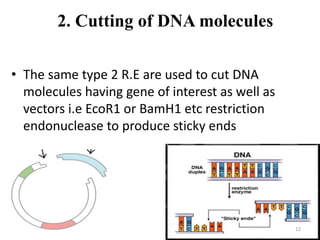 Recombinant dna technology | PPTX