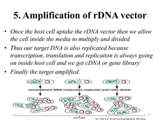 Recombinant dna technology | PPTX