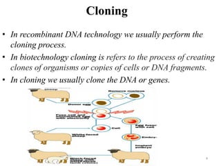 Recombinant Dna Animals
