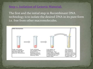 Recombinant dna technology | PPTX