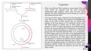Recombinant DNA technology | PDF