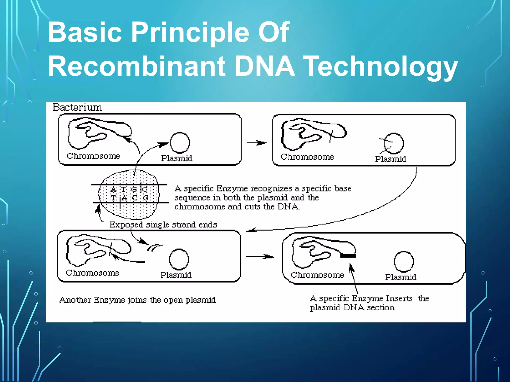Recombinant DNA Technology | PPT