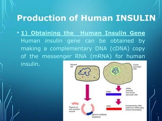 Recombinant DNA Technology | PPT