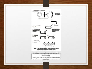 Recombinant dna technology | PPTX