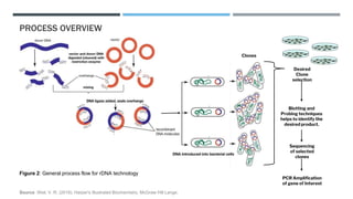 Recombinant dna technology | PPTX