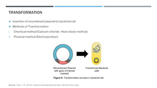 Recombinant dna technology | PPTX
